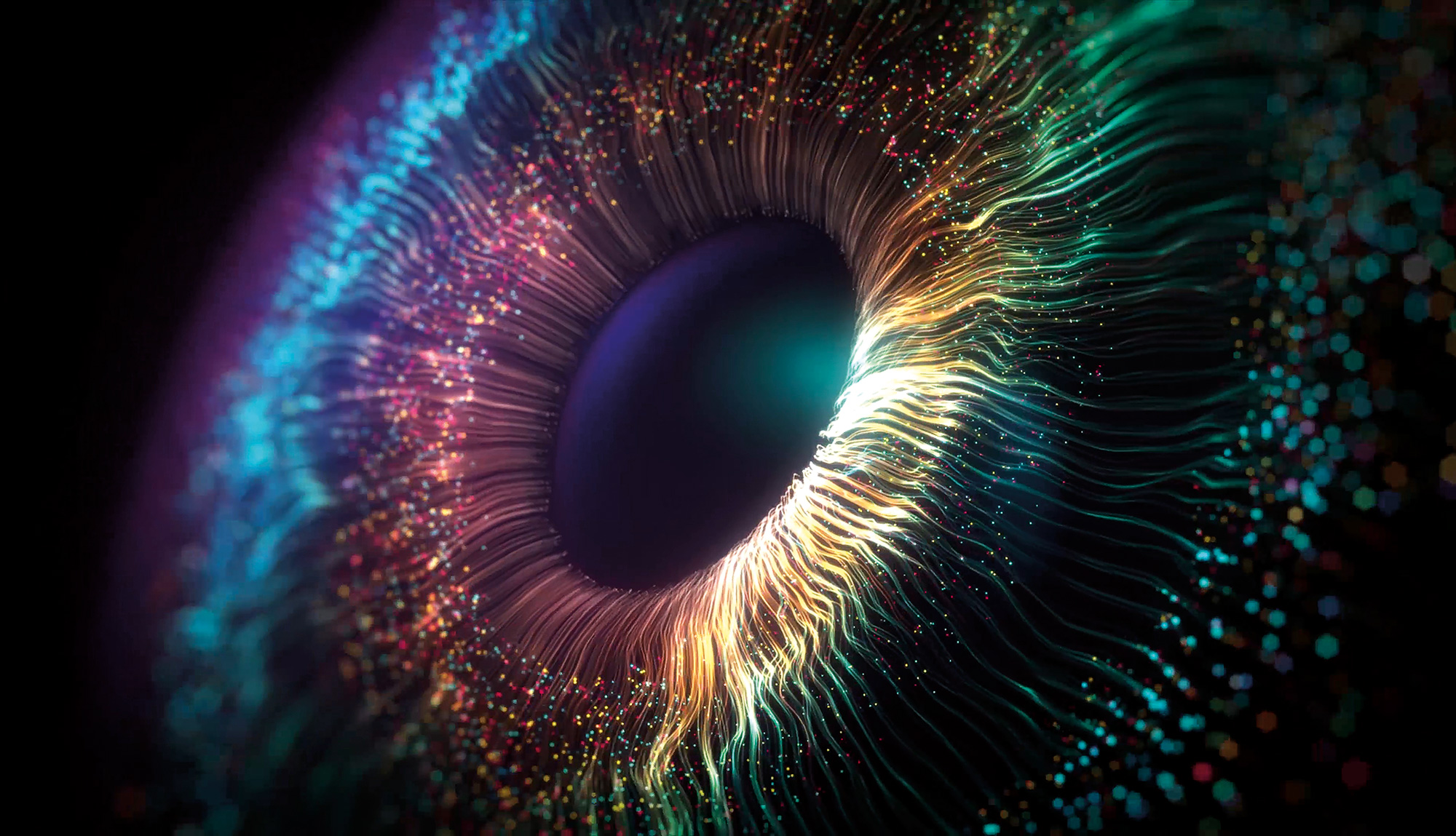 Eye Tracking Software A New Age For Accessibility FEED